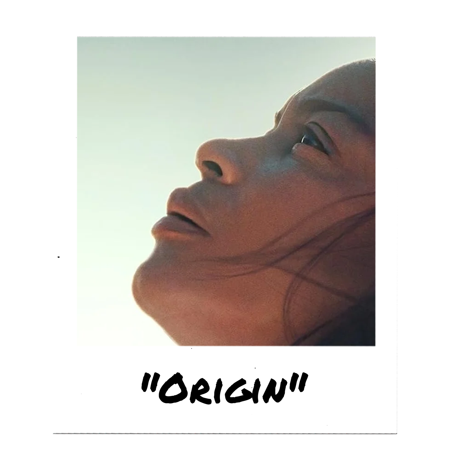 TCFF Tuesdays Season 3 - State Theatre and Bijou By The Bay